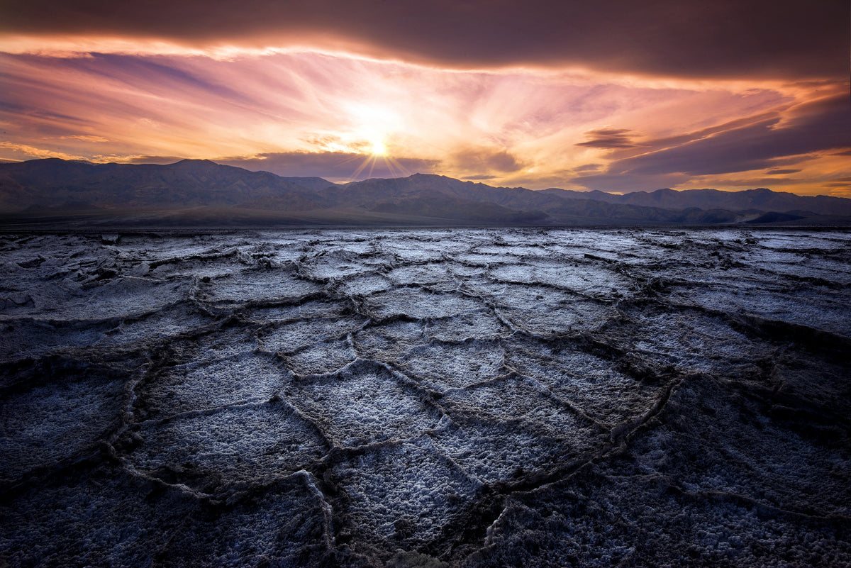 Parched – Sapna Reddy